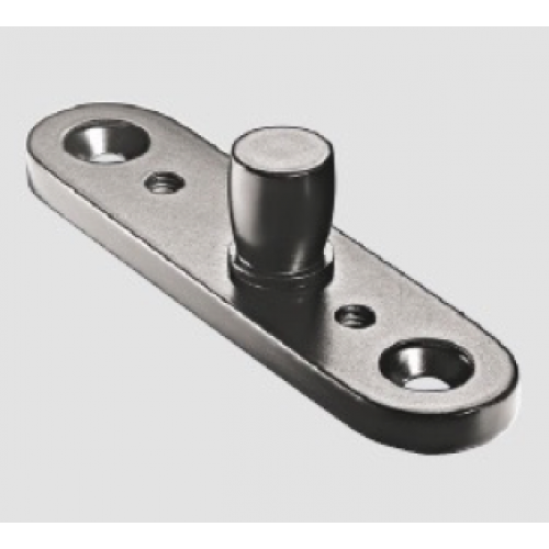 Top Pivot Dormakaba Mundus PT24 with 3mm fixing plate