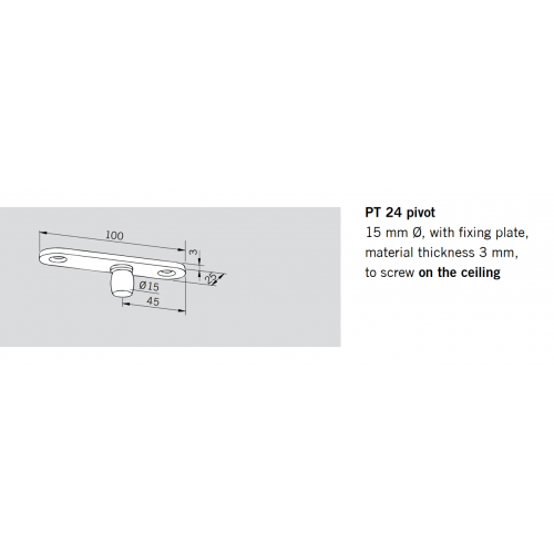 Top Pivot Dormakaba Mundus PT24 with 3mm fixing plate