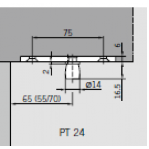 Top Pivot Dormakaba Mundus PT24 with 3mm fixing plate